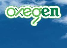 Oxegen 2004